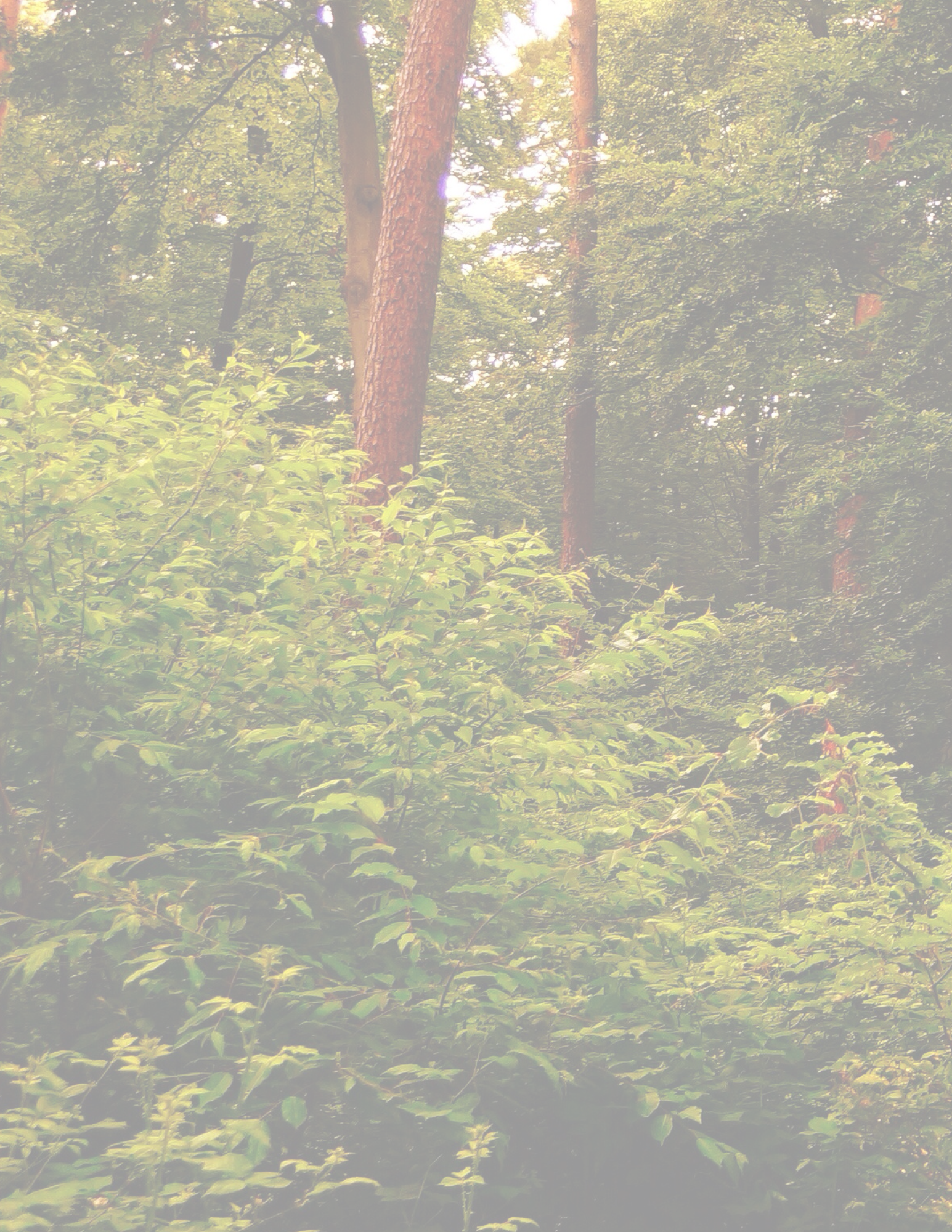 background loksak – Loksak
